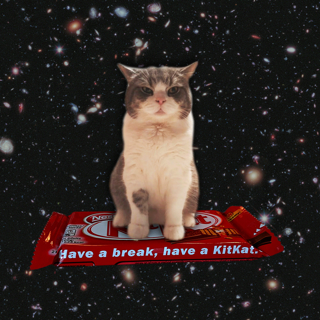 GIF by KITKAT - Find & Share on GIPHY