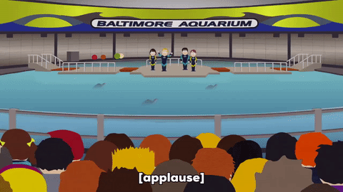 Dolphins Screaming GIF by South Park - Find & Share on GIPHY