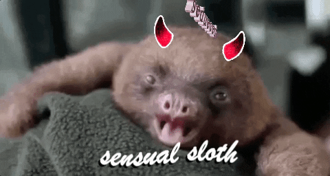 Seductive Sloth