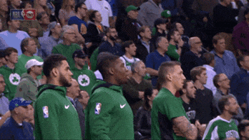 Celebrate Boston Celtics GIF by NBA - Find & Share on GIPHY