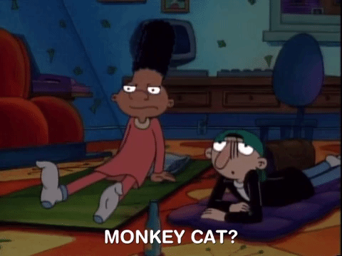 Monkey-cat GIFs - Get the best GIF on GIPHY