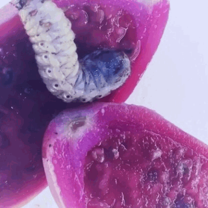 Creepy Maggot GIF by John Artur - Find & Share on GIPHY