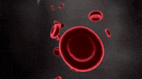 Red Blood Cell Cartoon Gif