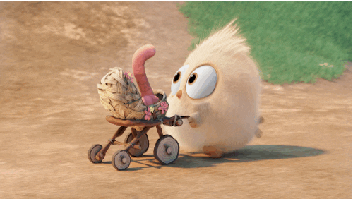 Angry Seal GIFs - Get the best GIF on GIPHY