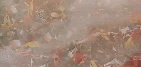 Parma GIFs - Get the best GIF on GIPHY