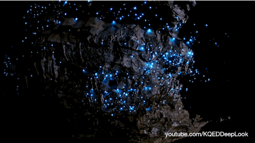 Natural Palette GIFs - Get the best GIF on GIPHY