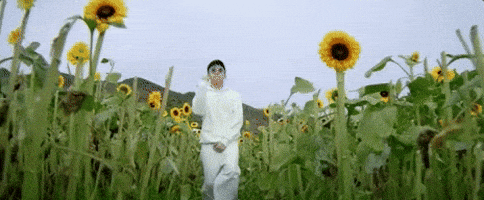 Glow Like Dat Flower Field GIF by Rich Brian - Find & Share on GIPHY