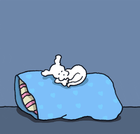 Good Night Sleeping GIF by Chippy the dog - Find & Share on GIPHY