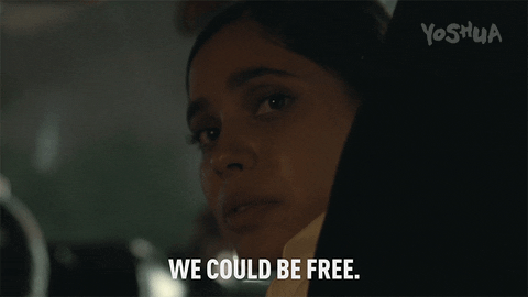 Yoshua GIFs - Get the best GIF on GIPHY