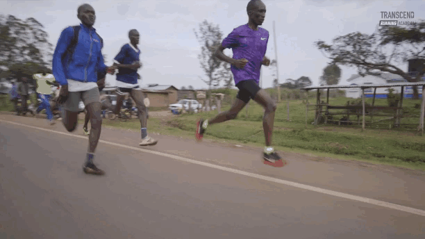 Track And Field Running GIF by RunnerSpace.com - Find & Share on GIPHY