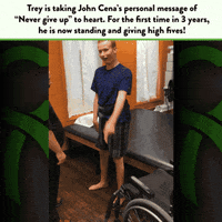 theCHIVE GIFs on GIPHY - Be Animated
