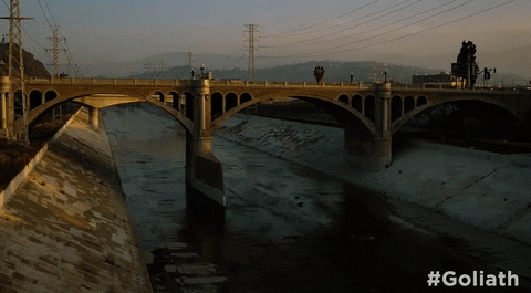 Season 1 Bridge GIF by Goliath - Find & Share on GIPHY