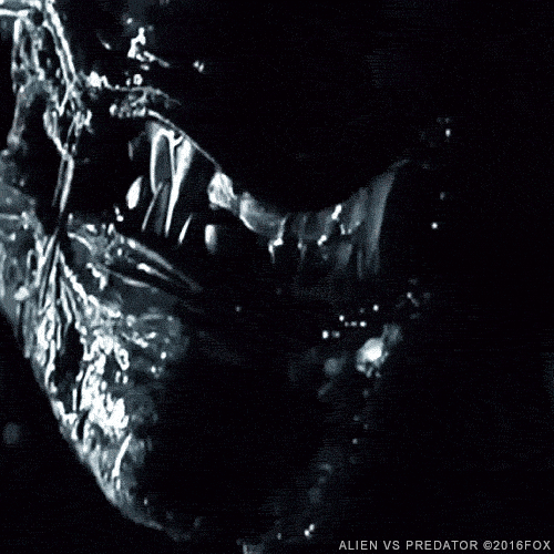Alien Versus Predator GIFs - Get the best GIF on GIPHY