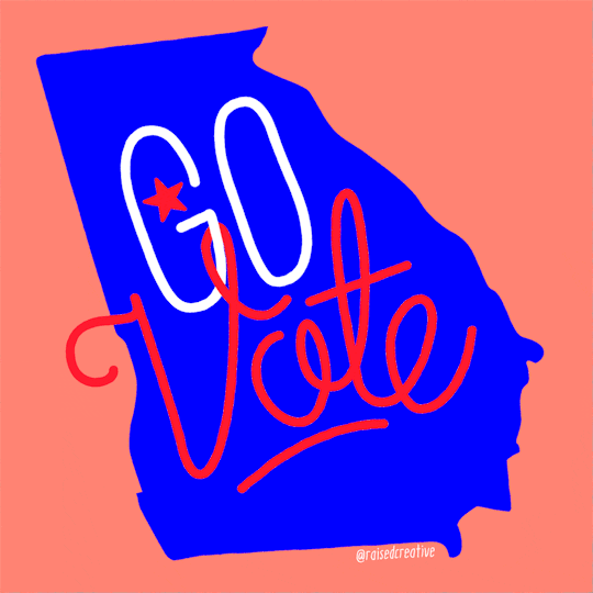 Go Vote State and Local GIFs - Find & Share on GIPHY