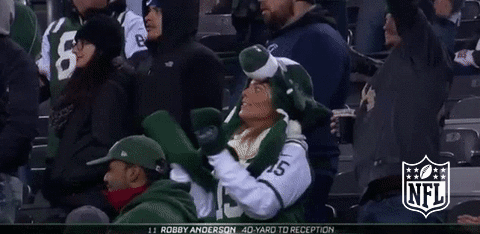 Excited New York Jets GIF by NFL - Find & Share on GIPHY