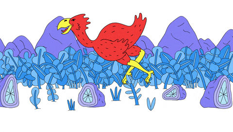 Terror Bird Running GIF by Paul Windle - Find & Share on GIPHY