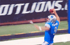 Detroit Lions Football GIF by NFL - Find & Share on GIPHY