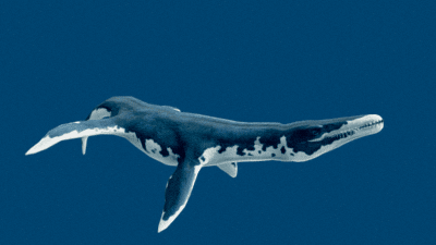 Liopleurodon GIFs - Get the best GIF on GIPHY