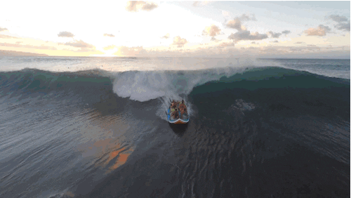 Party Wave GIF by Red Bull - Find & Share on GIPHY