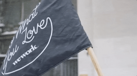 Wework Team GIFs - Get the best GIF on GIPHY