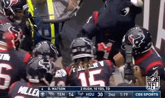 Cardinal Mascot Dance GIFs - Find & Share on GIPHY