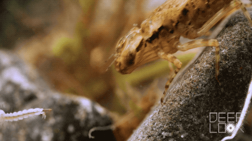 - Find & Share on GIPHY