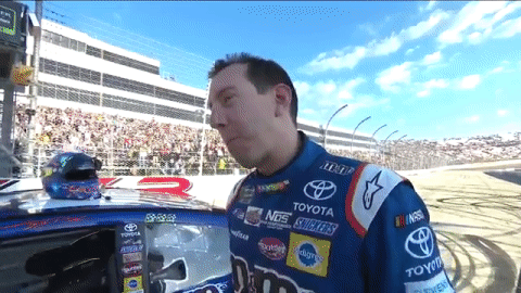Excited Kyle Busch GIF by NASCAR - Find & Share on GIPHY