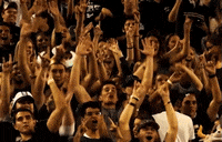 Excited Crowd Gif
