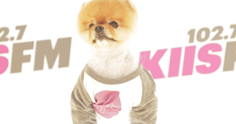 Kiis-fm-wango-tango GIFs - Get the best GIF on GIPHY