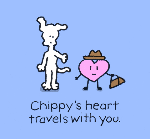 Chippy's heart by Chippy the Dog | GIPHY