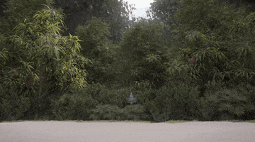 Jump Out GIFs - Find & Share on GIPHY