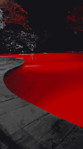 Rgb Pool Party GIFs - Get the best GIF on GIPHY