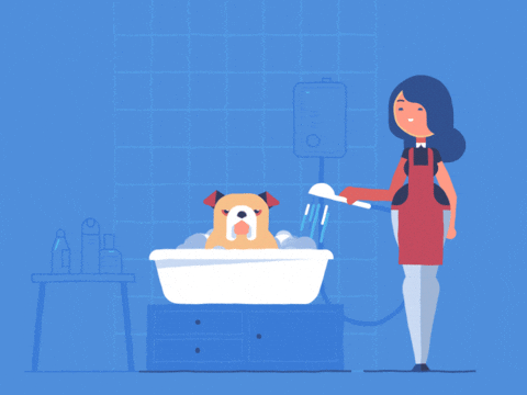 Groomer GIFs - Get the best GIF on GIPHY