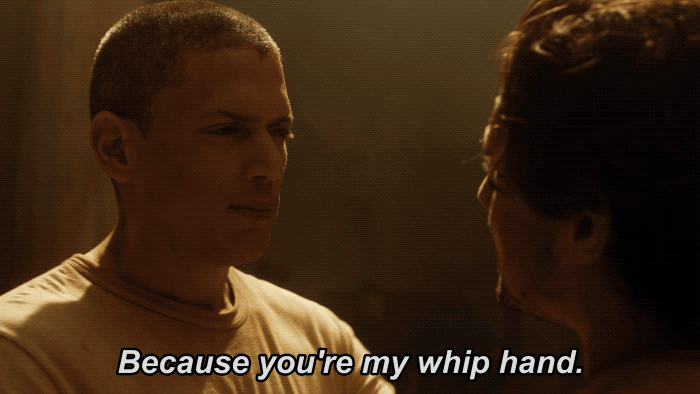 Michael Scofield Fox GIF by Prison Break - Find & Share on GIPHY