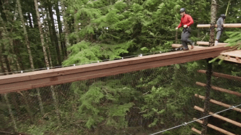 Log Bridge GIFs - Get the best GIF on GIPHY