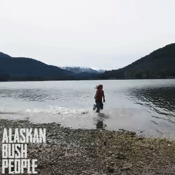 Discovery Channel Alaska GIF by Discovery - Find & Share on GIPHY