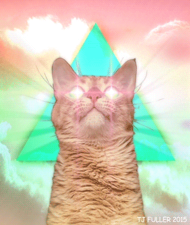 Cat Pink GIF by TJ Fuller - Find & Share on GIPHY