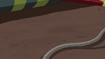 210 GIF by Rick and Morty - Find & Share on GIPHY