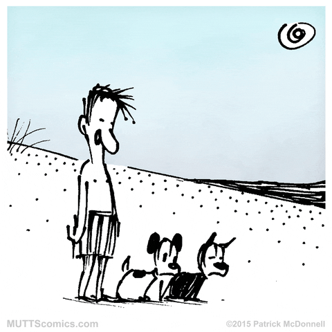 MUTTS GIFs on GIPHY - Be Animated