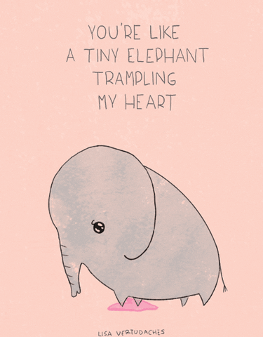 Tiny Elephant GIFs - Get the best GIF on GIPHY