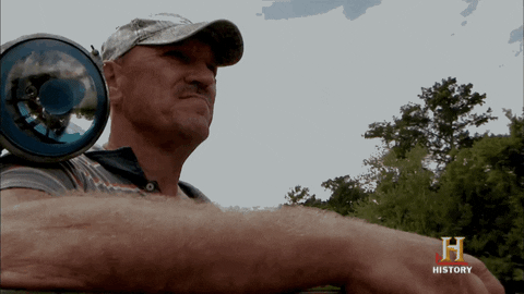 Check The Scene GIFs - Get the best GIF on GIPHY