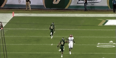 Usf Football Celebrate GIF by USF Athletics - Find & Share on GIPHY