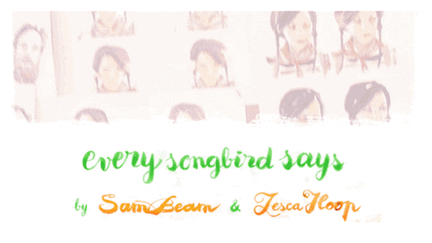 Every Songbird Says GIFs - Get the best GIF on GIPHY