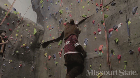 Boomer Msu GIF by Missouri State University - Find & Share on GIPHY