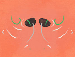 Smell GIFs - Find & Share on GIPHY