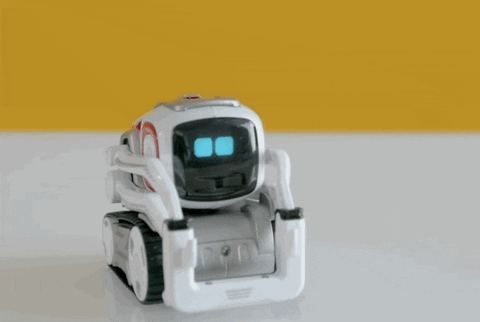 Anki GIFs - Get the best GIF on GIPHY