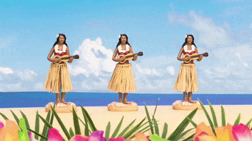 Hawaii GIFs - Find & Share on GIPHY