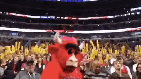 Benny The Bull Bulls Mascot GIF by Chicago Bulls - Find & Share on GIPHY