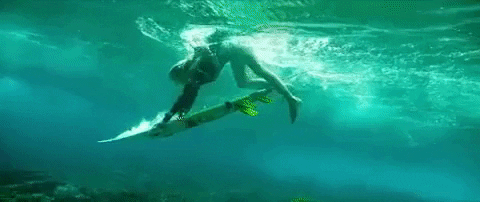 Shallow Lagoon GIFs - Find & Share on GIPHY