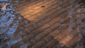 Water Perfect Loop GIF by Living Stills - Find & Share on GIPHY
